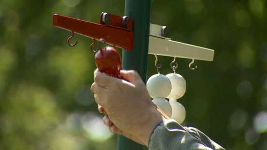 Jongens kaatsten in Huizum - kaatsen.nl